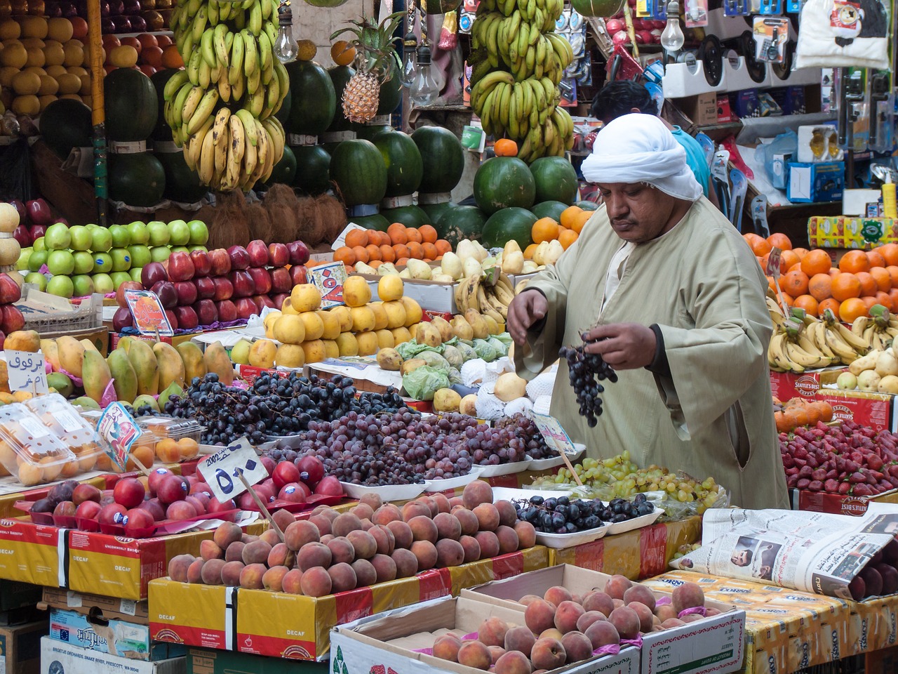 Le Maroc revendique la place de 15ème exportateur mondial de fruits ...