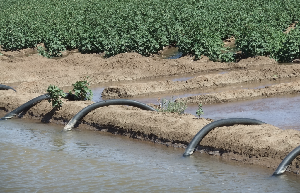 Maroc : L’entreprise israélienne Netafim spécialisée dans les solutions ...