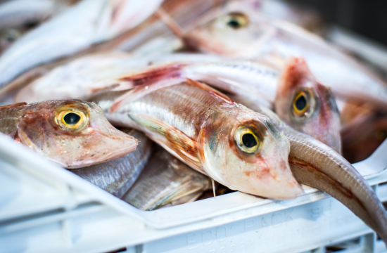 Le Gabon a autorisé les navires européens à pêcher annuellement 32 000 ...